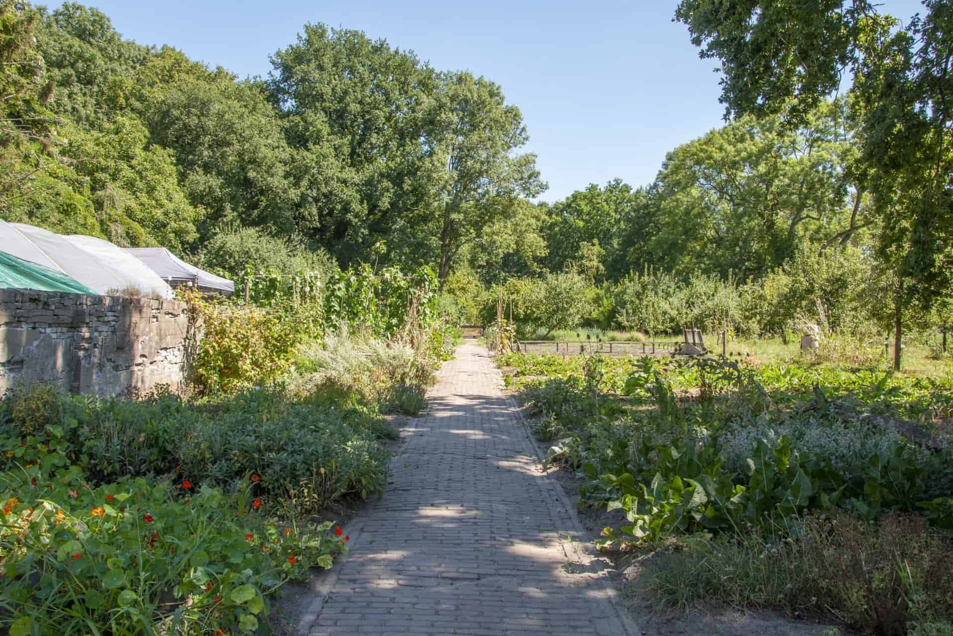 Moestuin Deelhoven - Huis Sevenaer